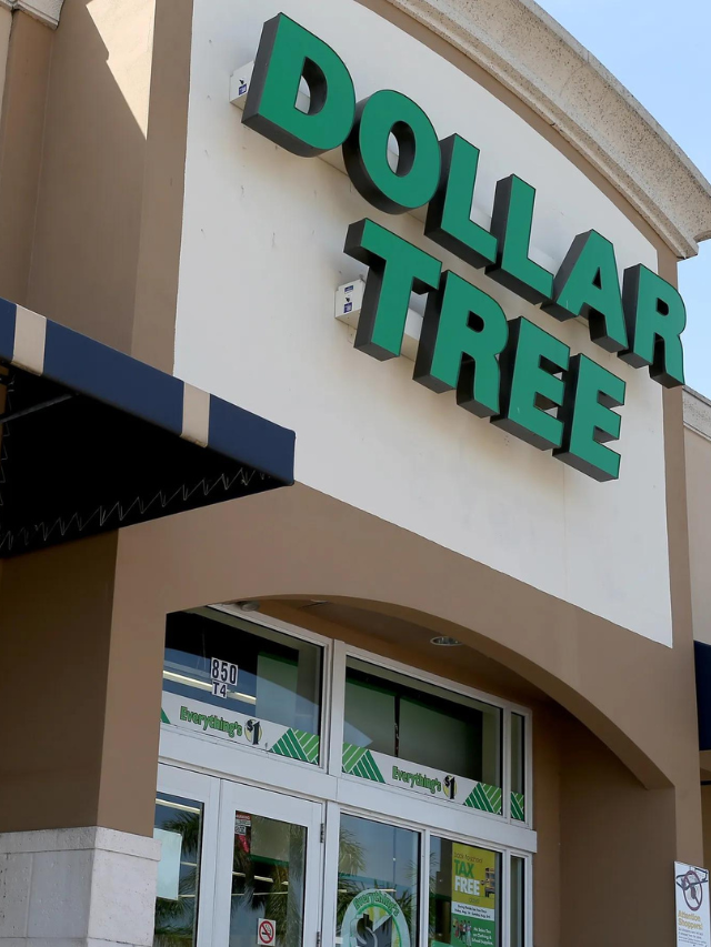 Best 8 Dollar Tree Items To Stock Up Asap Codeavail