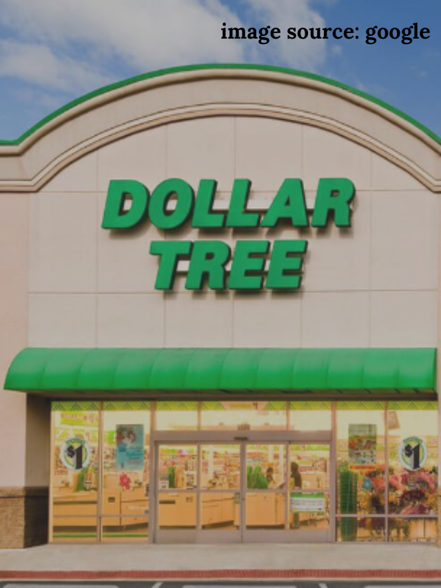 11 Best New Items Coming To Dollar Tree This Winter Codeavail