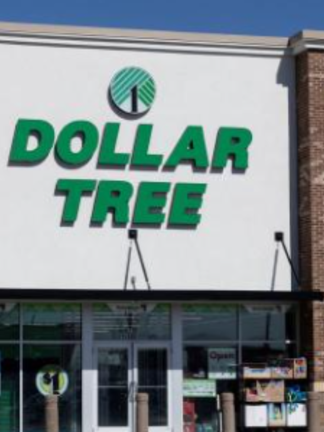 9 New Items Coming To Dollar Tree In 2024 That You Can Skip Codeavail