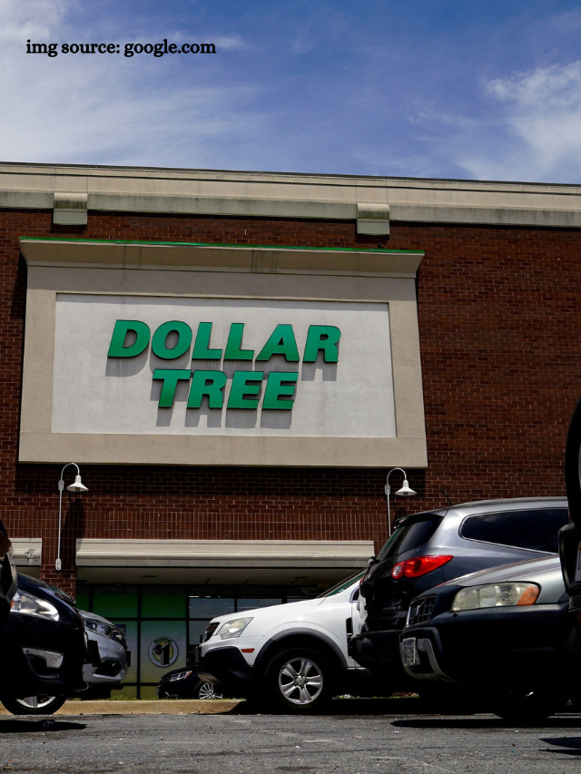 8 Dollar Tree Items To Save Money For Spring 2024 Codeavail