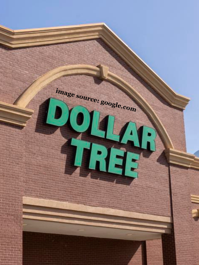 10 Best Dollar Tree Items To Buy Online In Bulk Codeavail