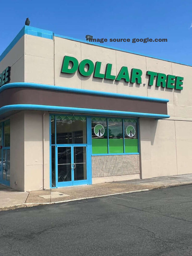10 Essentials You Should Buy At Dollar Tree For Your Next Vacation